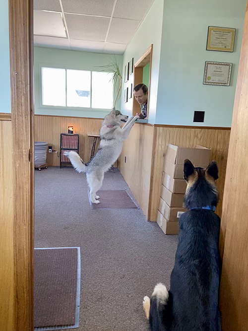 About - Andriacchi Law